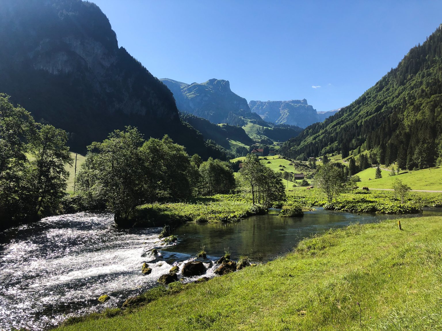 Muotathal – Bisisthal – Buochserhorn